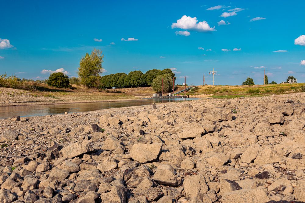Dürre am Rhein Foto & Bild | landschaft, sonstiges, bach, fluss & see ...