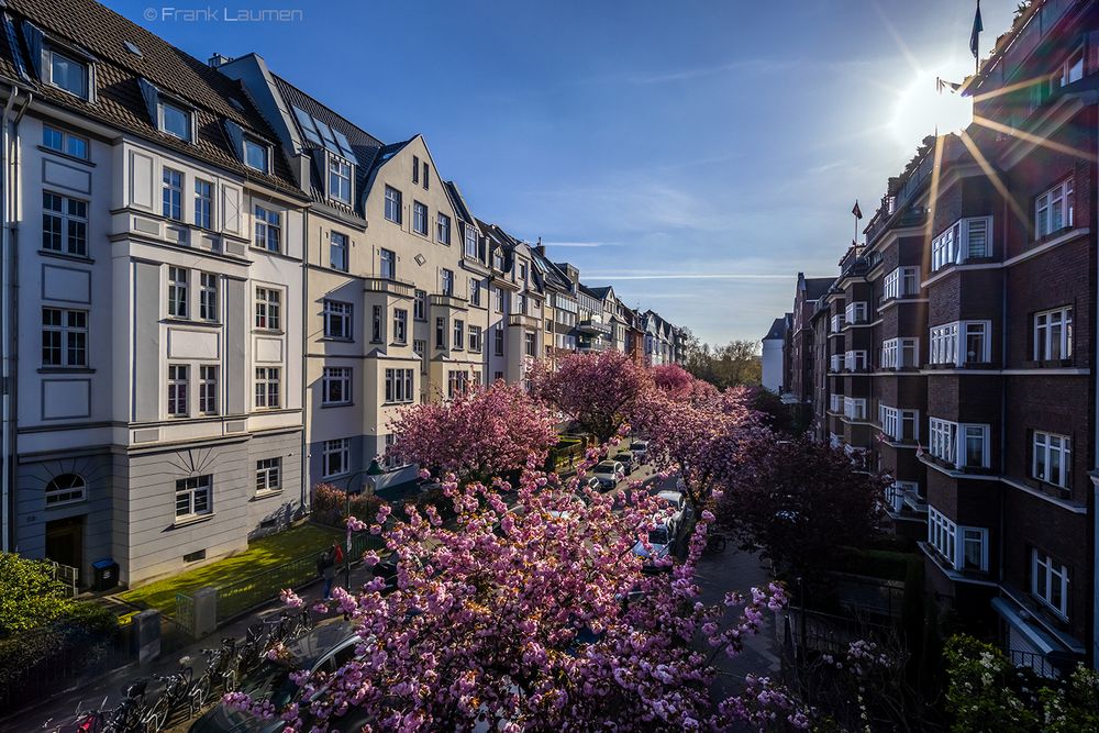 Düsseldorf Golzheim Foto & Bild | deutschland, europe, nordrhein ...