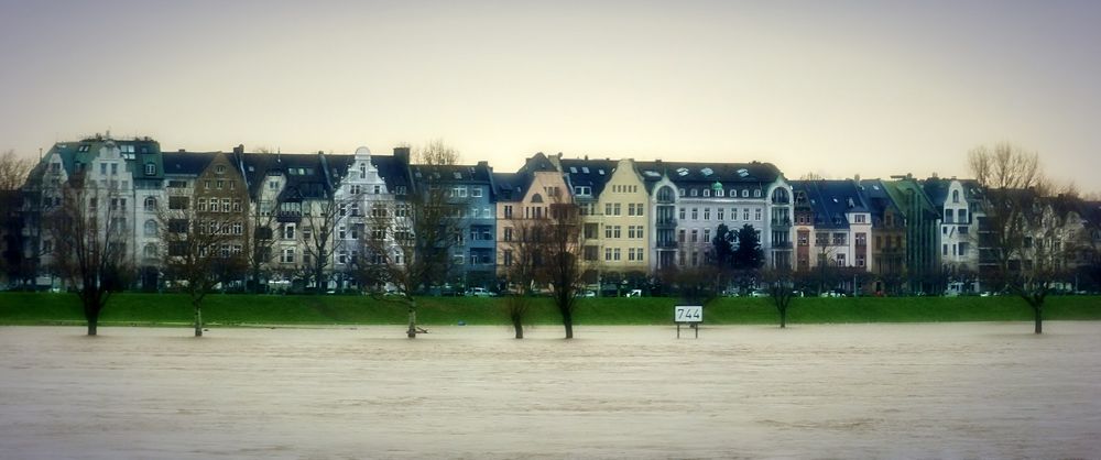 Düsseldorf - Oberkassel Foto & Bild | natur, rhein, landschaft Bilder ...