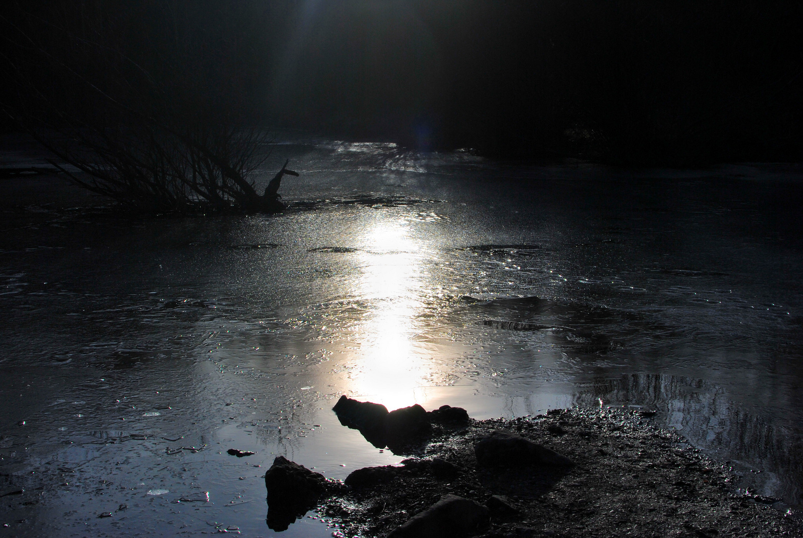 Düstere Schönheit der Vergänglichkeit Foto & Bild | archiv projekte ...