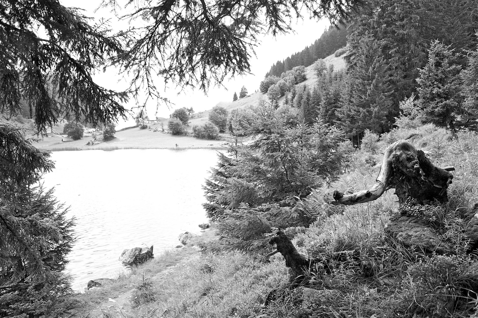 düstere Stimmung am Golzernsee, Maderanertal Foto & Bild ...