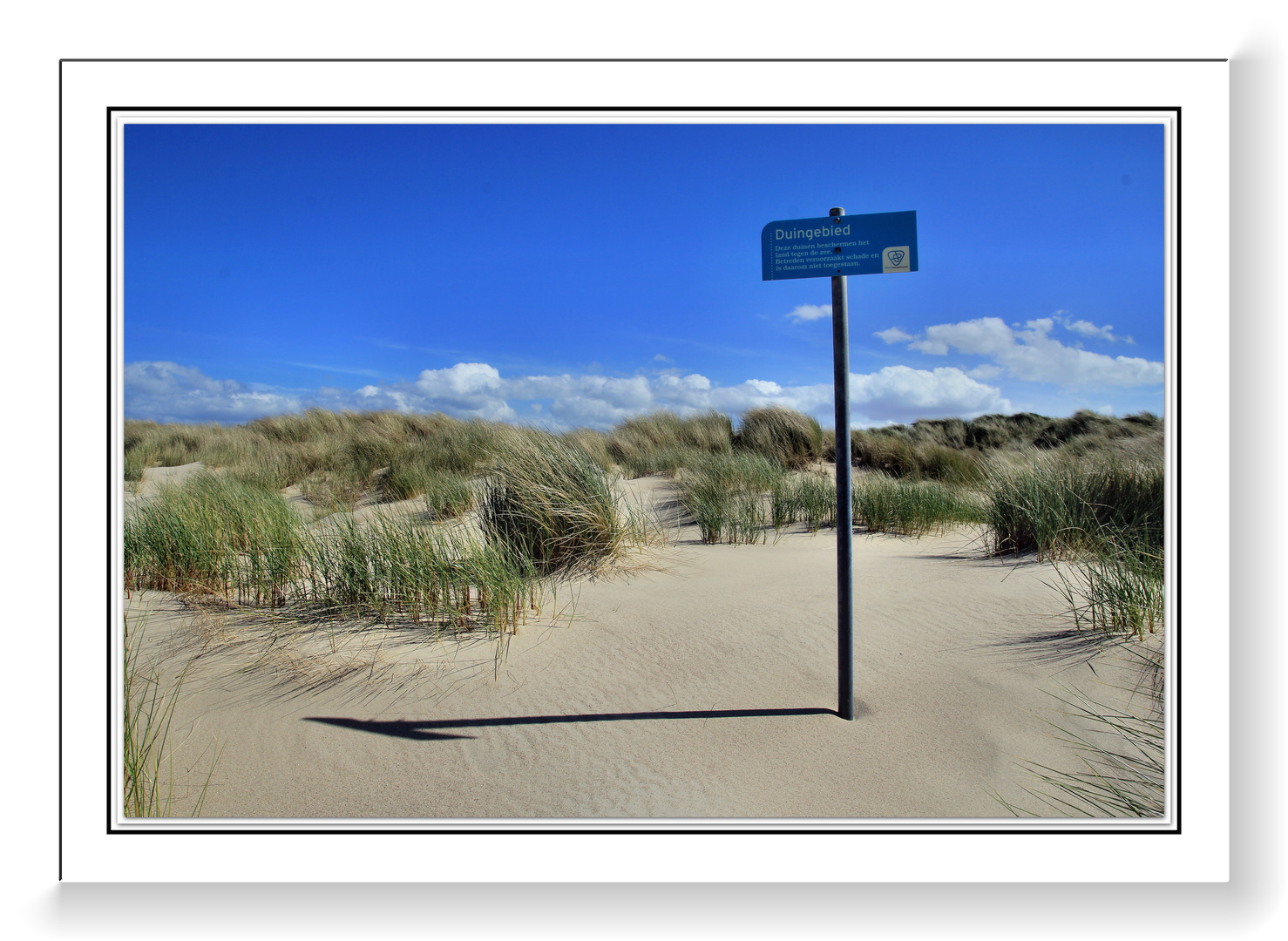 duingebied Foto & Bild | landschaft, meer & strand, dünen Bilder auf ...