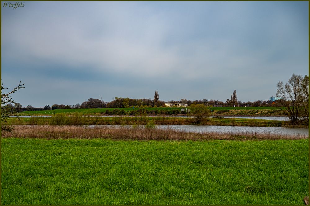 Duisburger Rheinwiesen Foto & Bild | landschaft, natur, fluss Bilder ...
