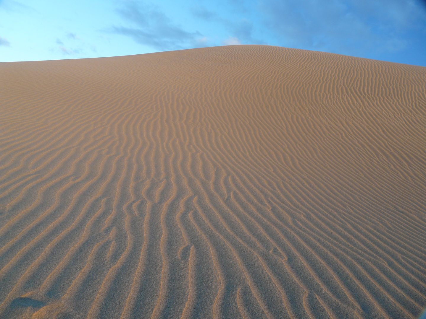 Duna Imagen & Foto | paisajes, desierto , agua y paisajes Fotos de ...