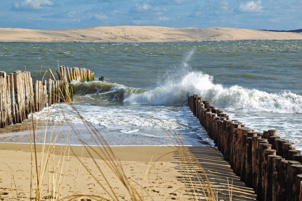Dune du Pyla vue de la Pointe du Cap Ferret photo et image | europe ...