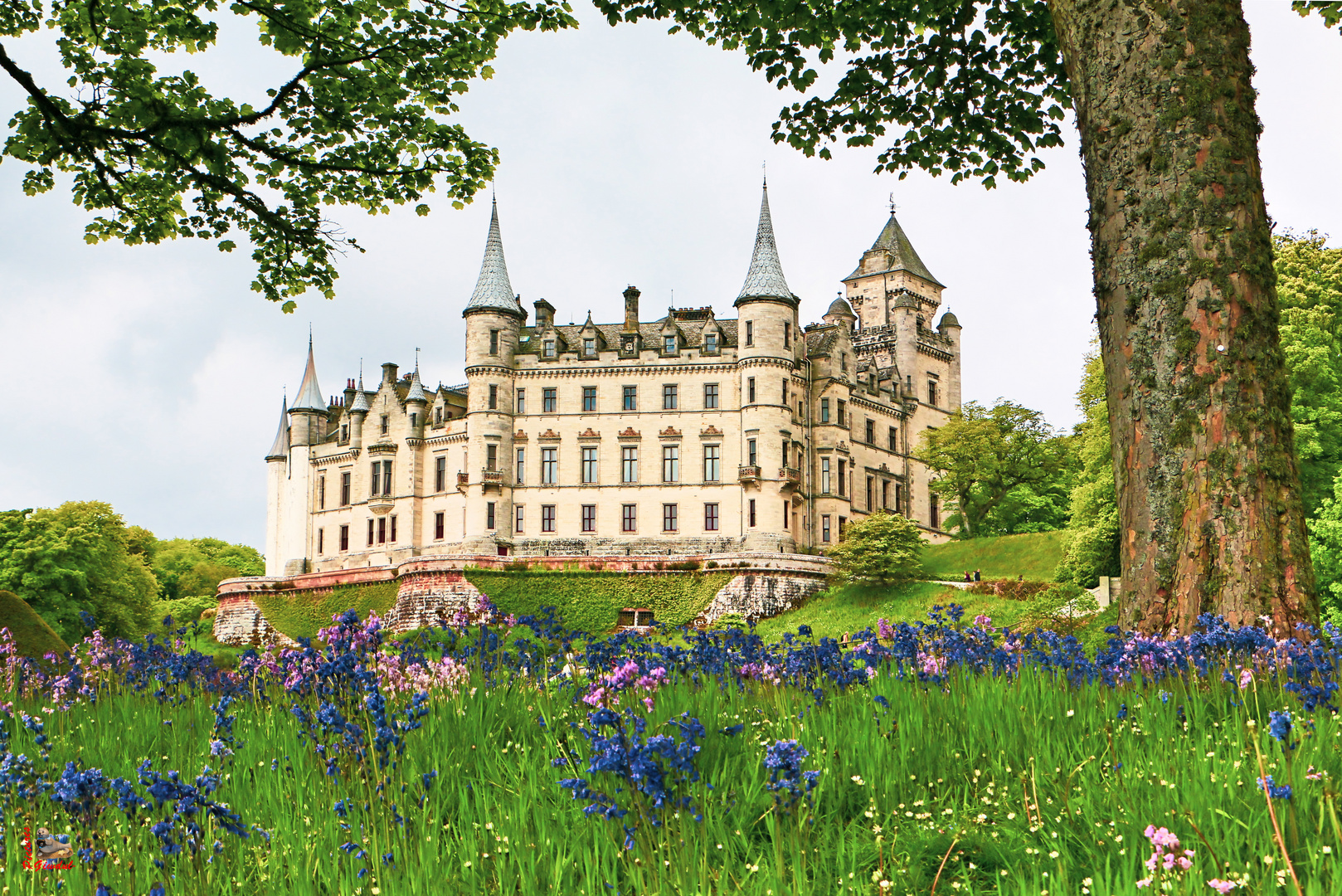 Dunrobin Castle_2 Foto & Bild | architektur, europe, united kingdom ...