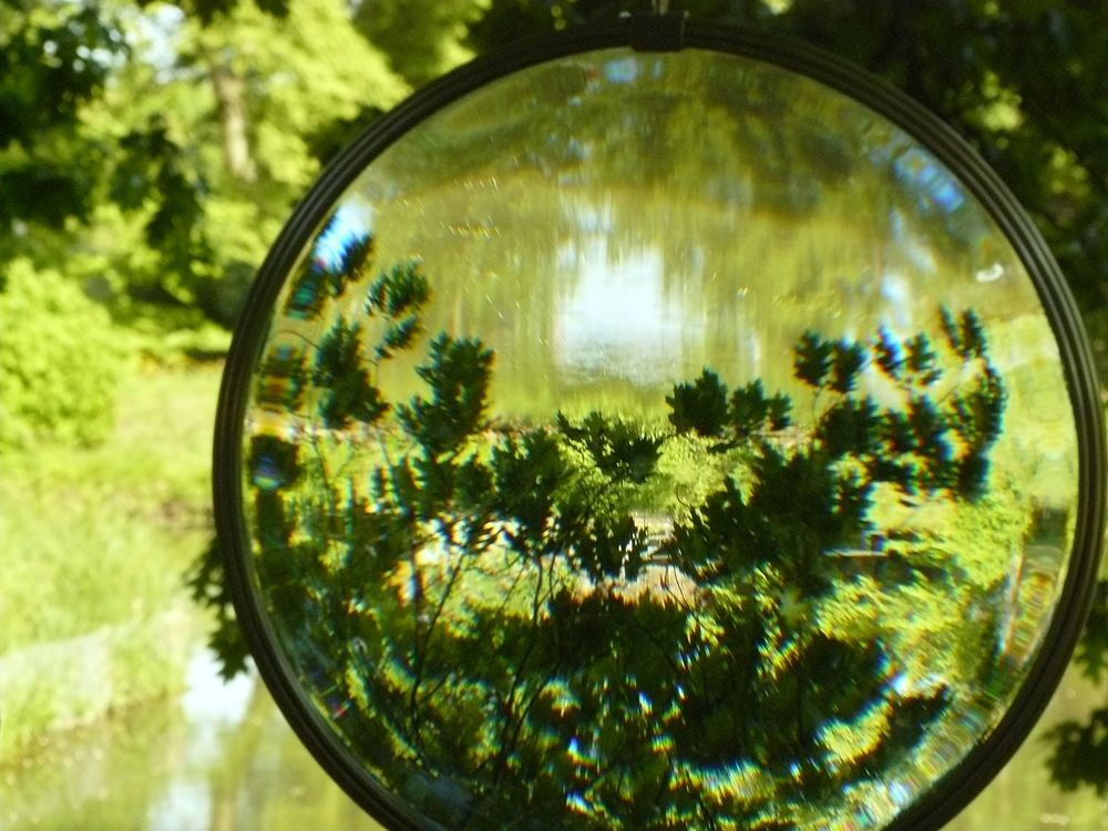 durch die Lupe Foto & Bild | natur-kreativ, natur Bilder auf fotocommunity