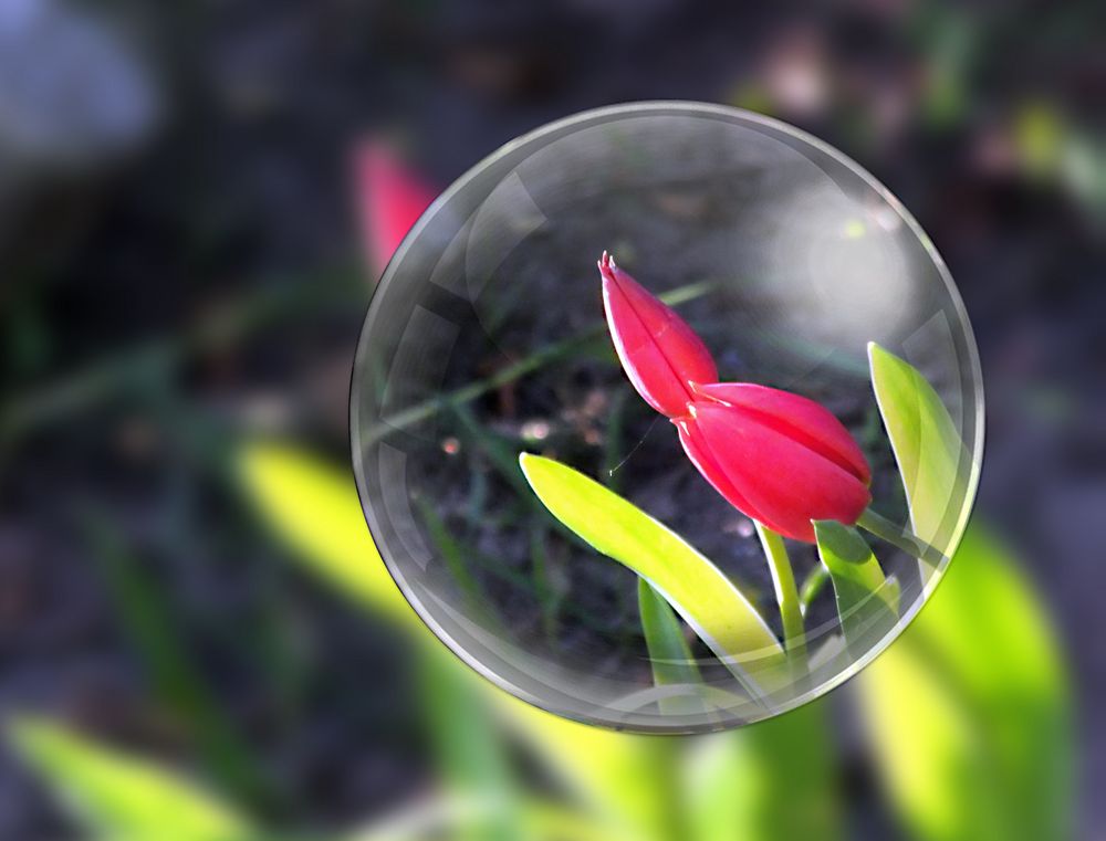 Durch die Lupe Foto & Bild | projekte, donnerstag mit durchblick ...