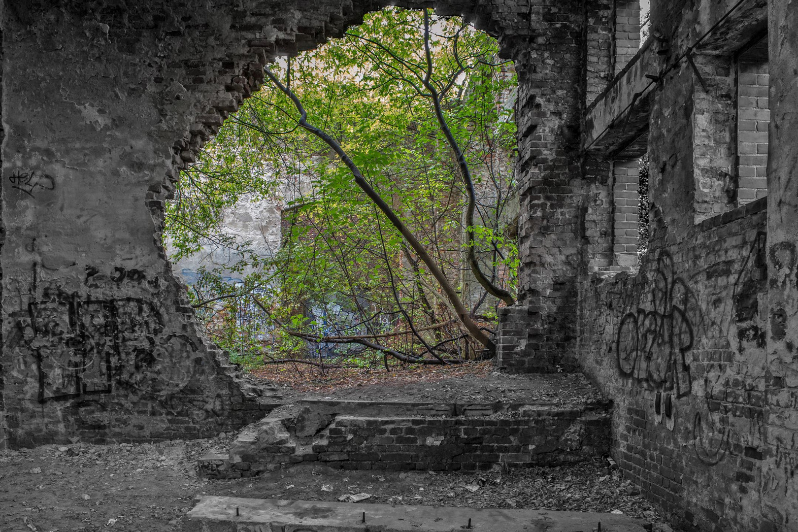 Durch die Mauer Foto & Bild | archiv, a r c h i v aktuell, verlassene ...