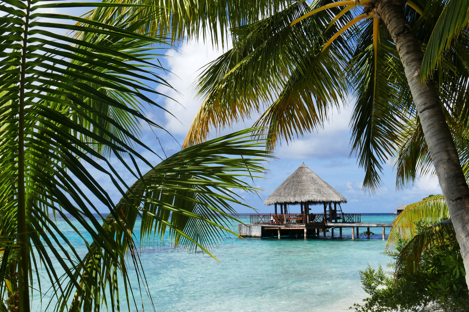 ...durch die Palmen gesehen... Foto & Bild | world, malediven, asia ...