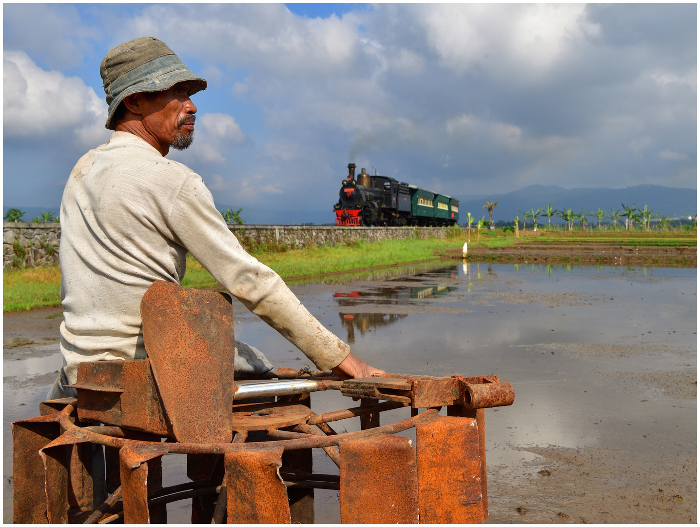 Durch die Reisfelder XI Foto & Bild | erwachsene menschen, asia ...
