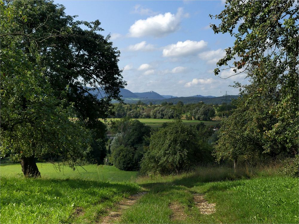 Durch die Wiesen..... Foto & Bild | sommer, natur, landschaft Bilder ...