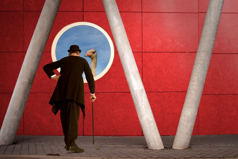 Durchblick Foto & Bild | fotomontage, composing , art Bilder auf fotocommunity