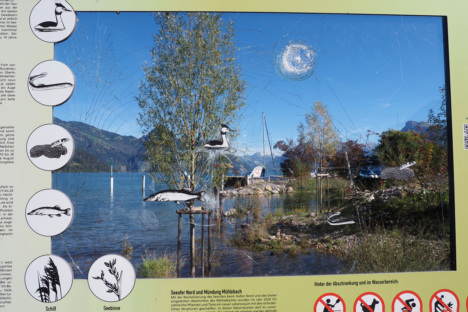 durchblick Foto & Bild | projekte, donnerstag mit durchblick, thementage Bilder auf fotocommunity