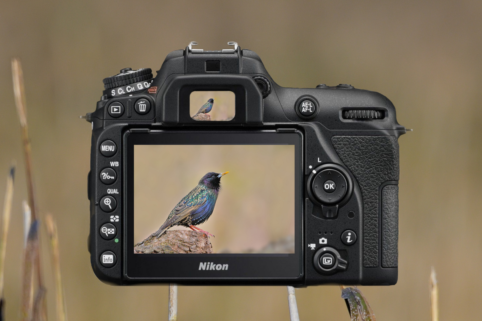 Durchblick Foto & Bild | projekte, fotomontage, bearbeitungs - techniken Bilder auf fotocommunity