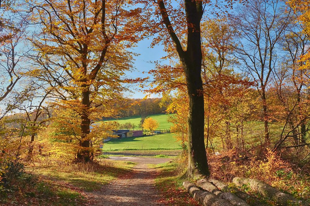 Durchblick Foto & Bild | landschaft, jahreszeiten, herbst Bilder auf fotocommunity