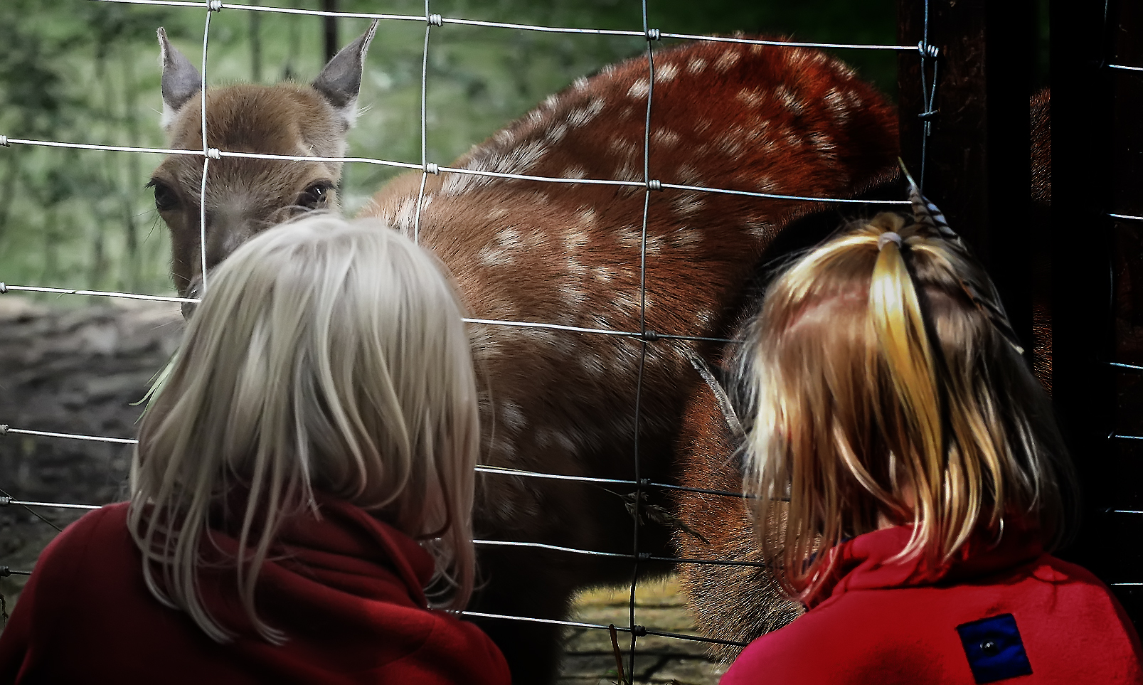 Durchblick ..... Foto & Bild | kinder, projekte, bearbeitungs - techniken Bilder auf fotocommunity