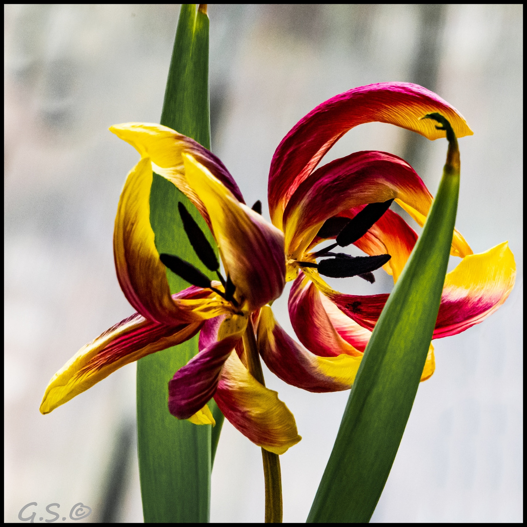 Durchblick Foto & Bild | projekte, donnerstag mit durchblick, thementage Bilder auf fotocommunity