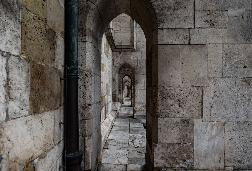 Durchblick Foto & Bild | projekte, 4 - donnerstag mit durchblick, thementage Bilder auf ...