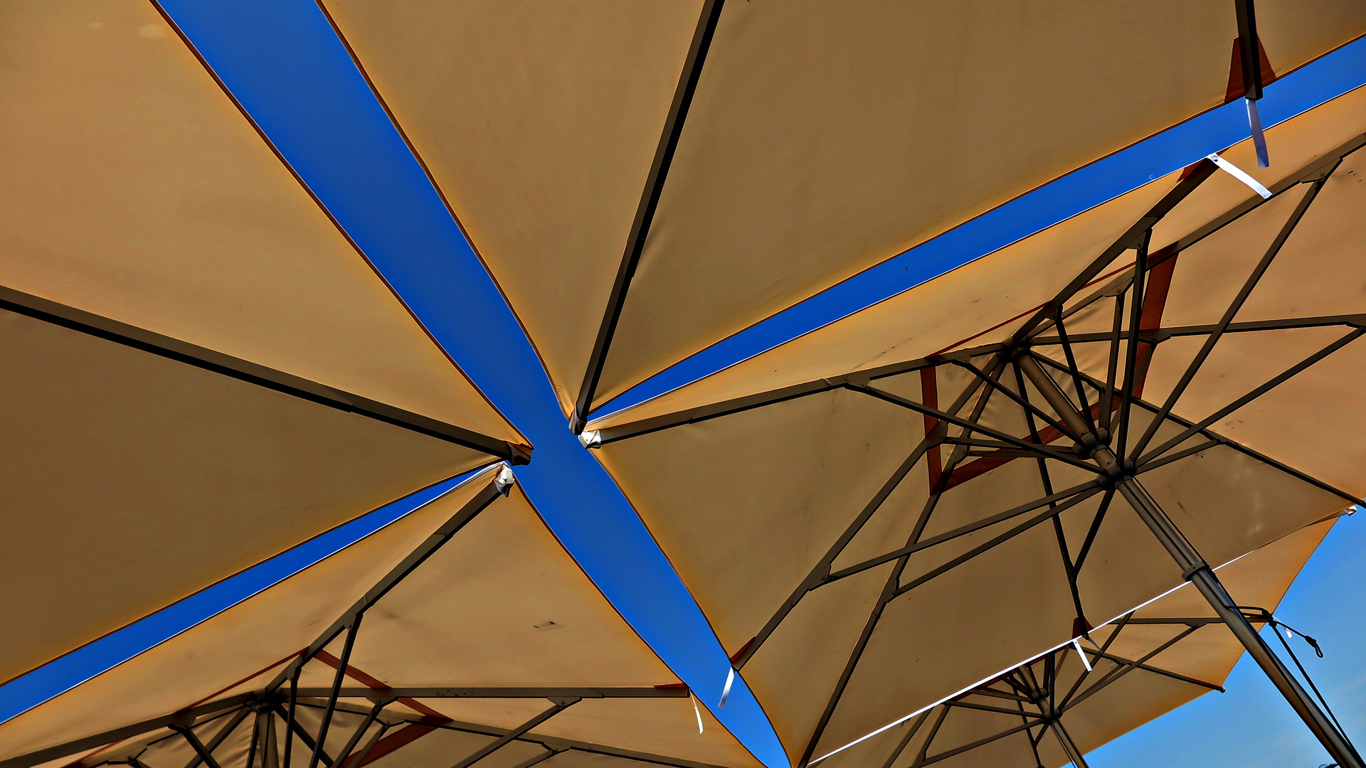 DURCHBLICK Foto & Bild | projekte, 4 - donnerstag mit durchblick, thementage Bilder auf ...