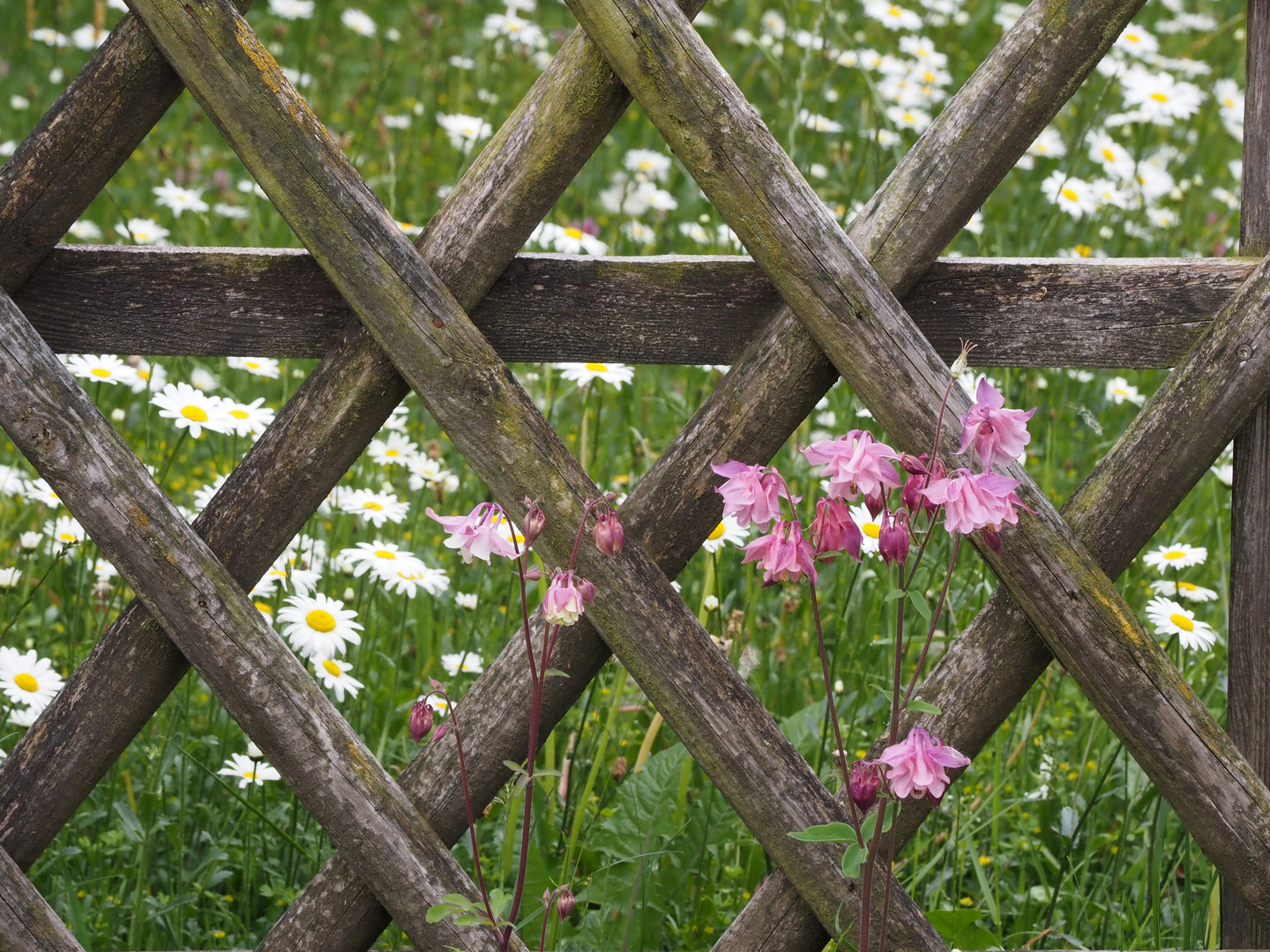 durchblick Foto & Bild | projekte, 4 - donnerstag mit durchblick, thementage Bilder auf ...