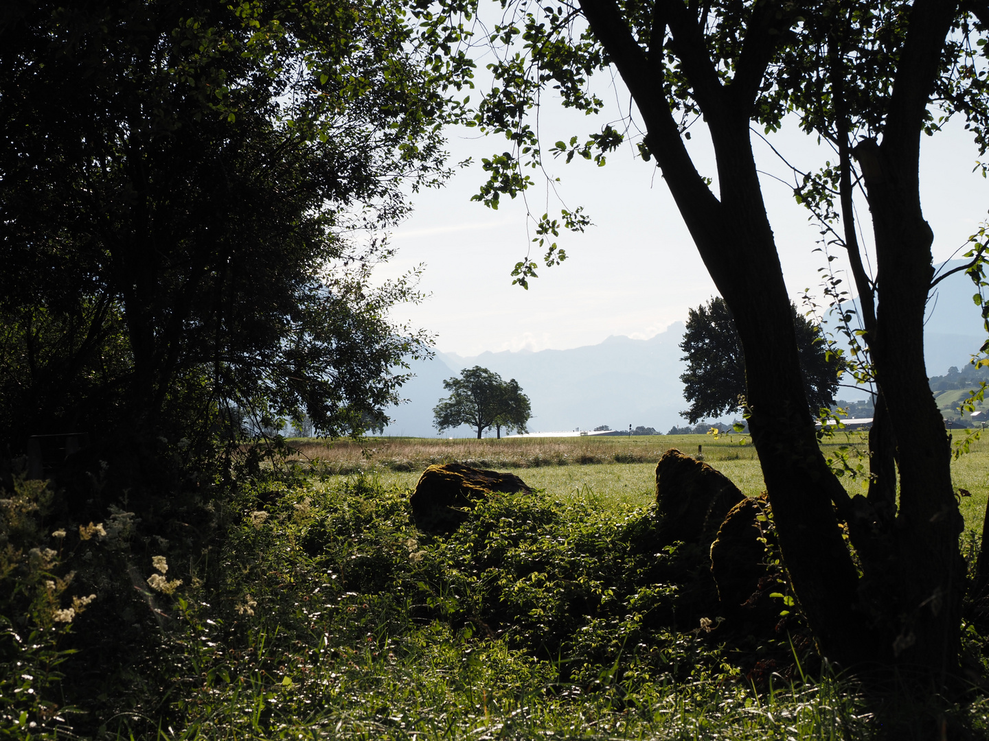 durchblick Foto & Bild | projekte, 4 - donnerstag mit durchblick, thementage Bilder auf ...