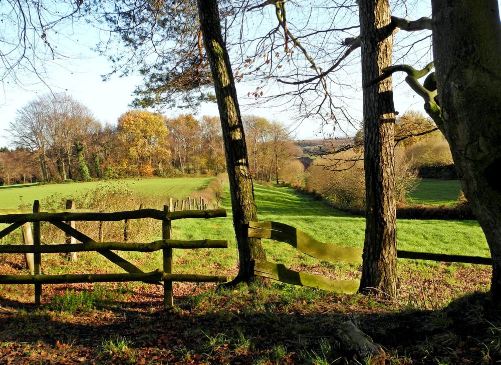 Durchblick Foto & Bild | landschaft, jahreszeiten, herbst Bilder auf fotocommunity
