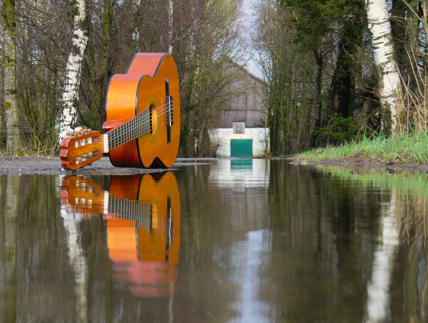 Durchblick Foto & Bild | jahreszeiten, kunstfotografie & kultur, projekte Bilder auf fotocommunity