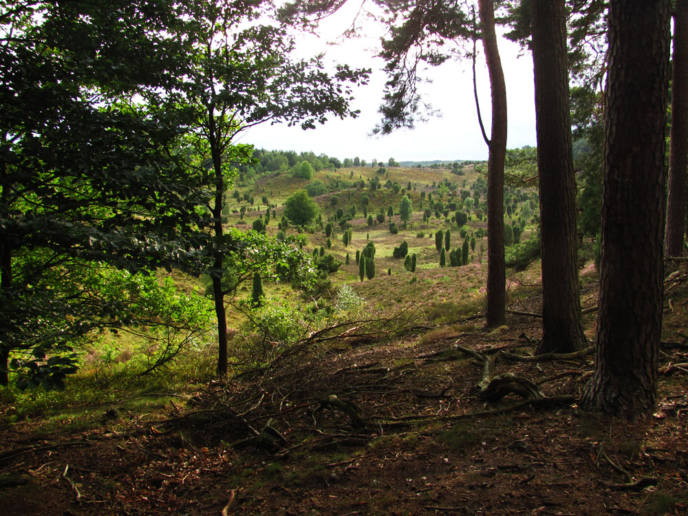 Durchblick: auf den Totengrund Foto & Bild | projekte, 4 - donnerstag mit durchblick, thementage ...