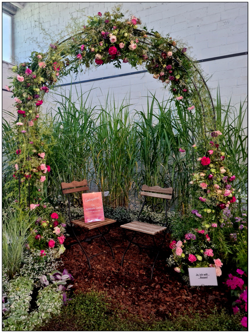 Durchblick auf der BUGA 23 Foto & Bild | pflanzen, pilze & flechten ...