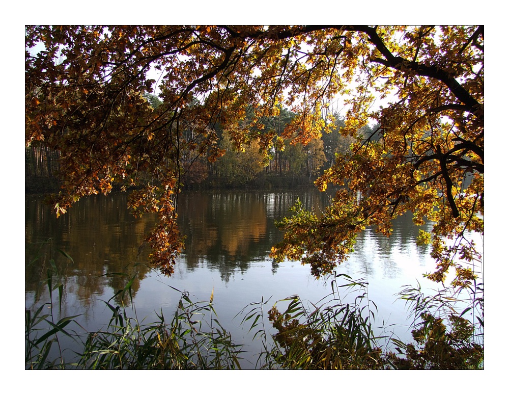 *Durchblick* Foto & Bild | jahreszeiten, herbst, landschaft Bilder auf fotocommunity