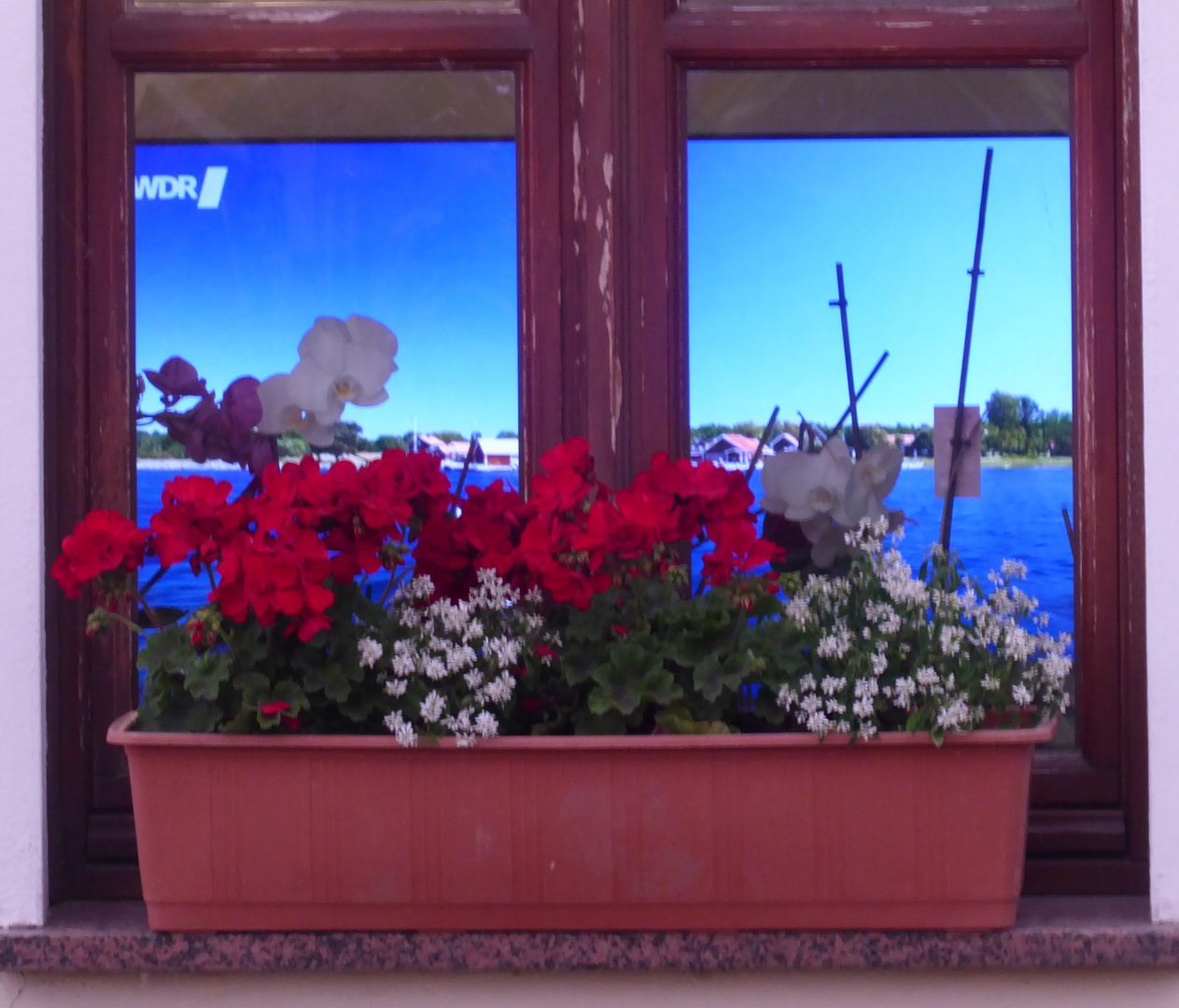 Durchblick .... Foto & Bild | architektur, fenster & türen, projekte Bilder auf fotocommunity