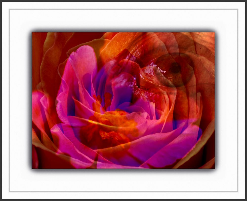 Durchblick Foto & Bild | fotos, spezial, dokumentation Bilder auf ...