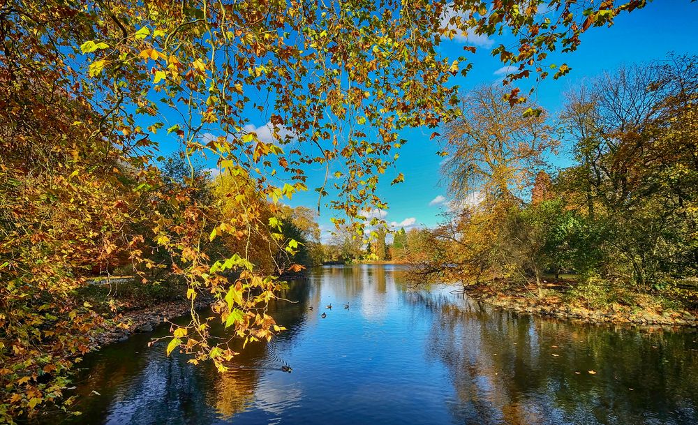 Durchblick im Herbst Foto & Bild | landschaft, jahreszeiten, herbst Bilder auf fotocommunity