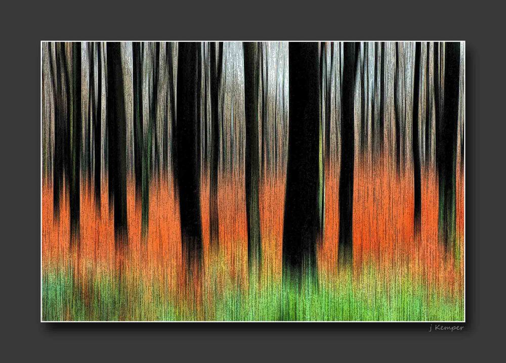 - Durchblick in den leuchtenden Wald - Foto & Bild | projekte, natur-kreativ, bearbeitungs ...