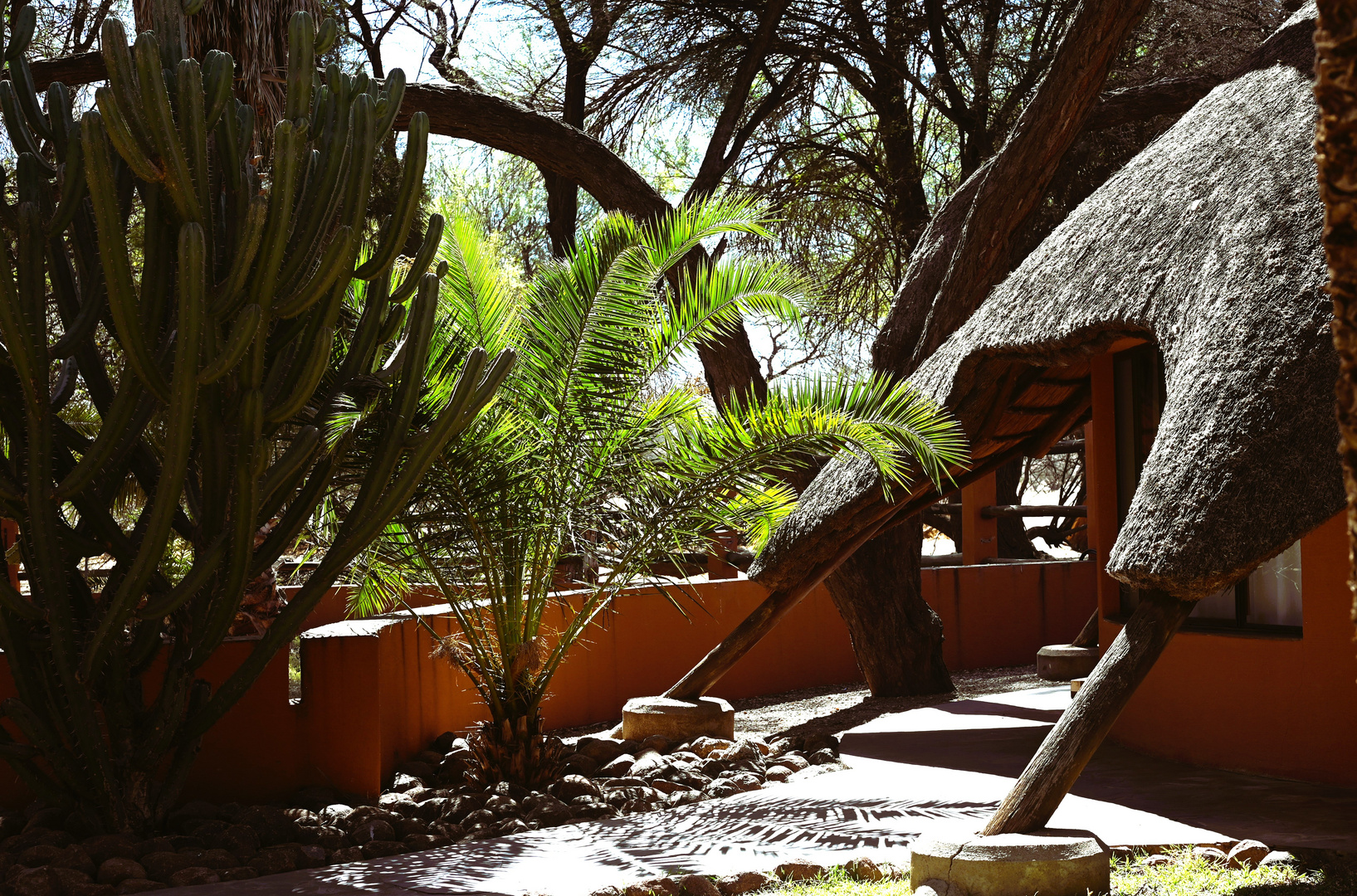 Durchblick in die Fauna Afrikas Foto & Bild | projekte, 4 - donnerstag ...