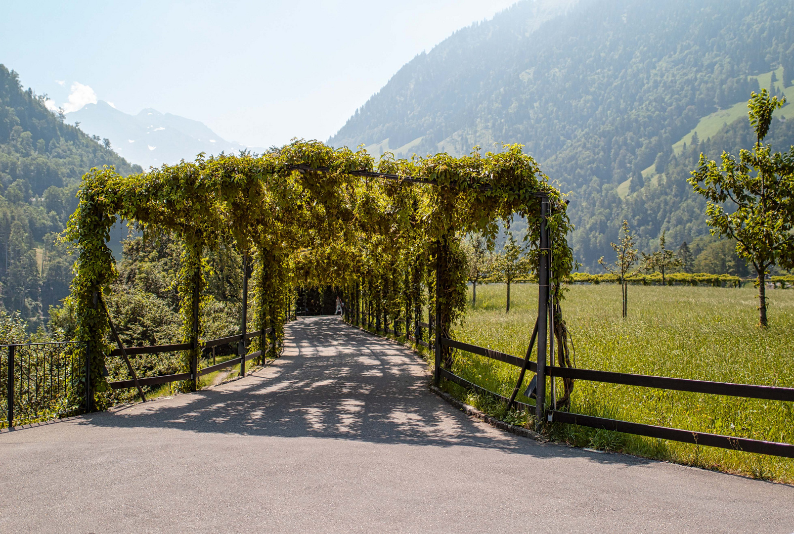 Durchgang Foto & Bild | europe, schweiz & liechtenstein, jahreszeiten ...