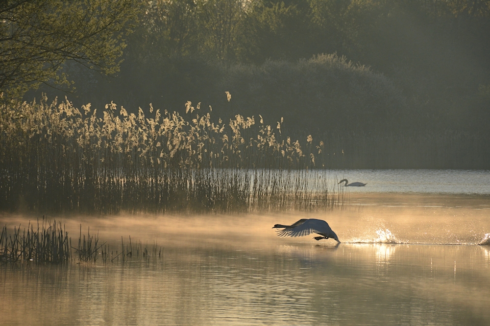durchgestartet... | Edith Vogel Fotografie