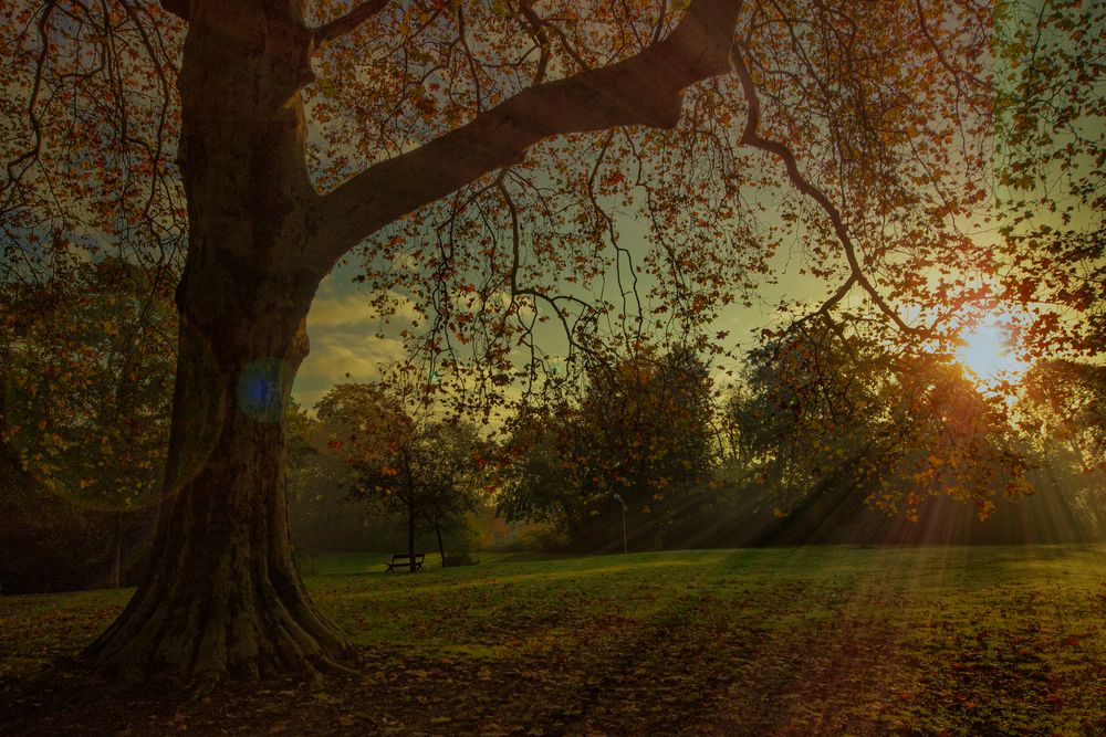 Durchsichtig Foto & Bild | bearbeitungs - techniken, filtertechniken, fotos Bilder auf fotocommunity