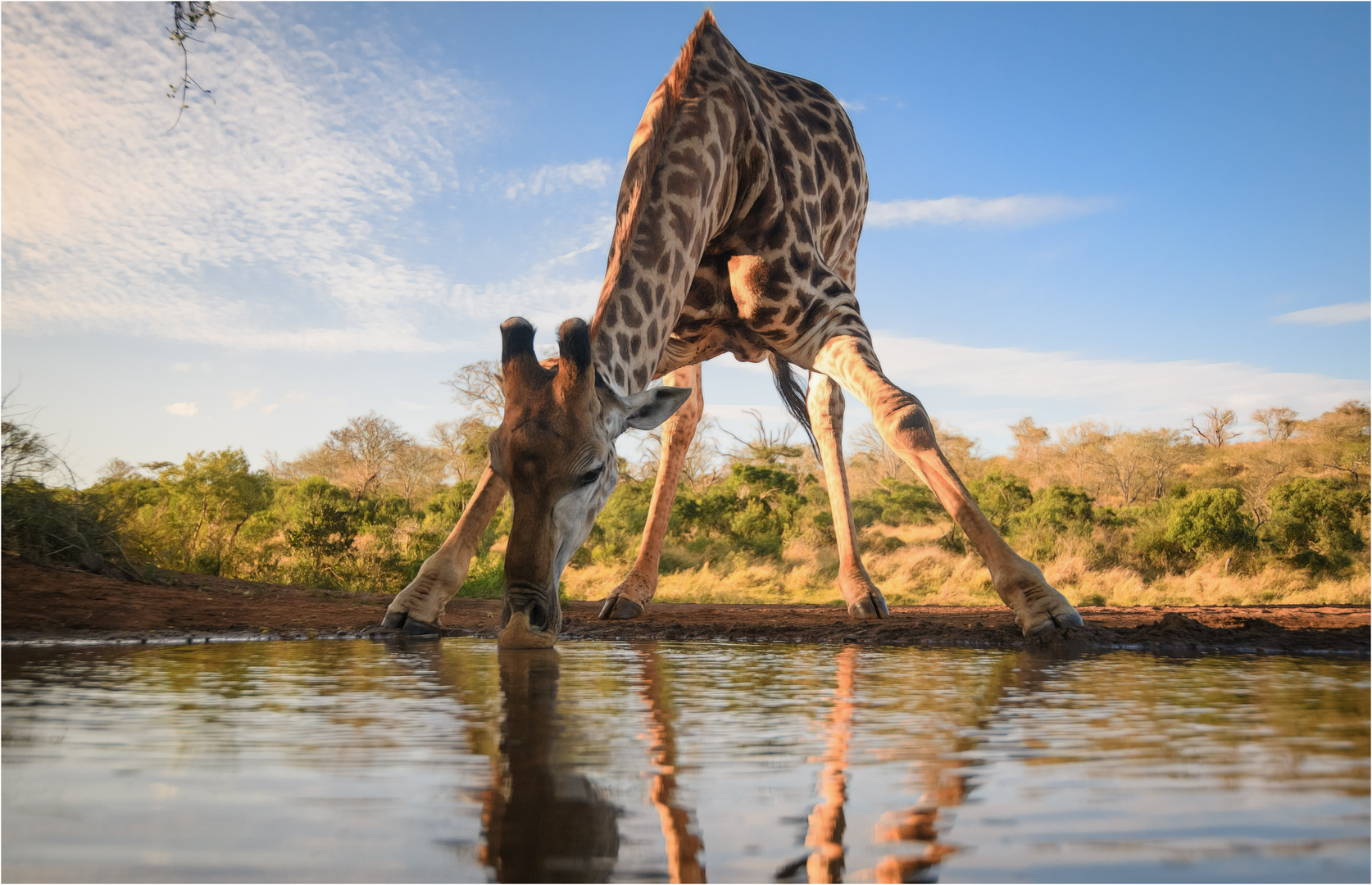 Durst Foto & Bild | africa, southern africa, south africa Bilder auf ...