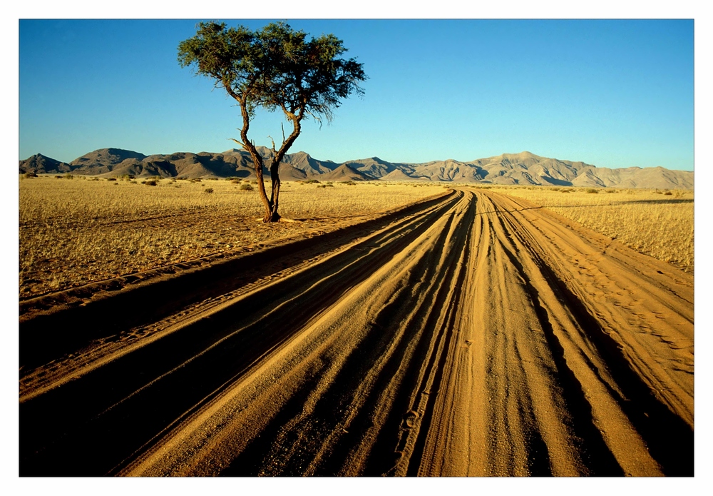 Dusty Track Foto & Bild | africa, southern africa, namibia Bilder auf ...