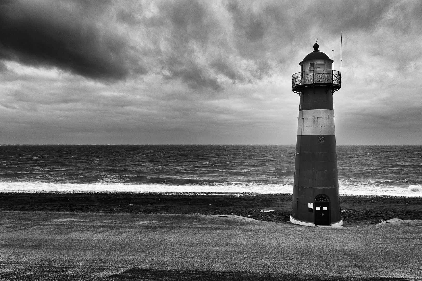 dutch firefly Foto & Bild | world Bilder auf fotocommunity