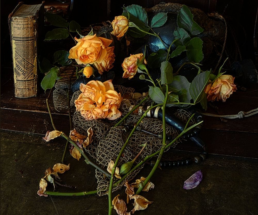Dying Roses Foto & Bild | stillleben, fotokunst, arrangierte szenen ...