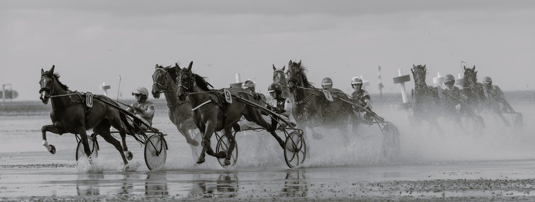 Galerie Bilder & Fotos - Best of | fotocommunity