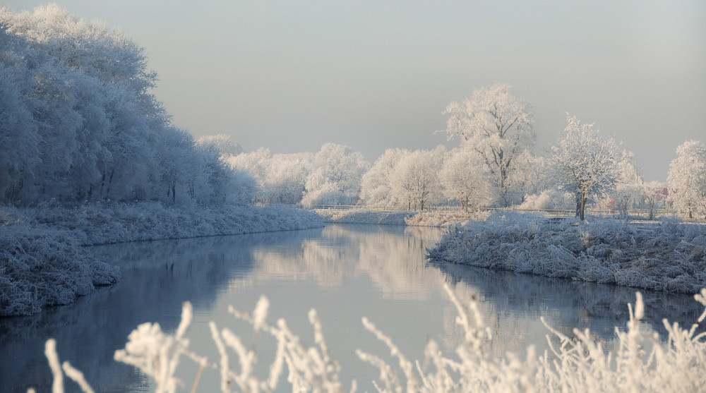 Foto & Bild | archiv projekte naturchannel, naturprojekte 2007 ...