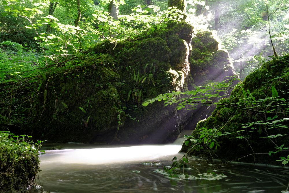 Licht am Bach - Bild & Foto von Dini Kaiser aus 06 Lichtreflexe auf dem ...
