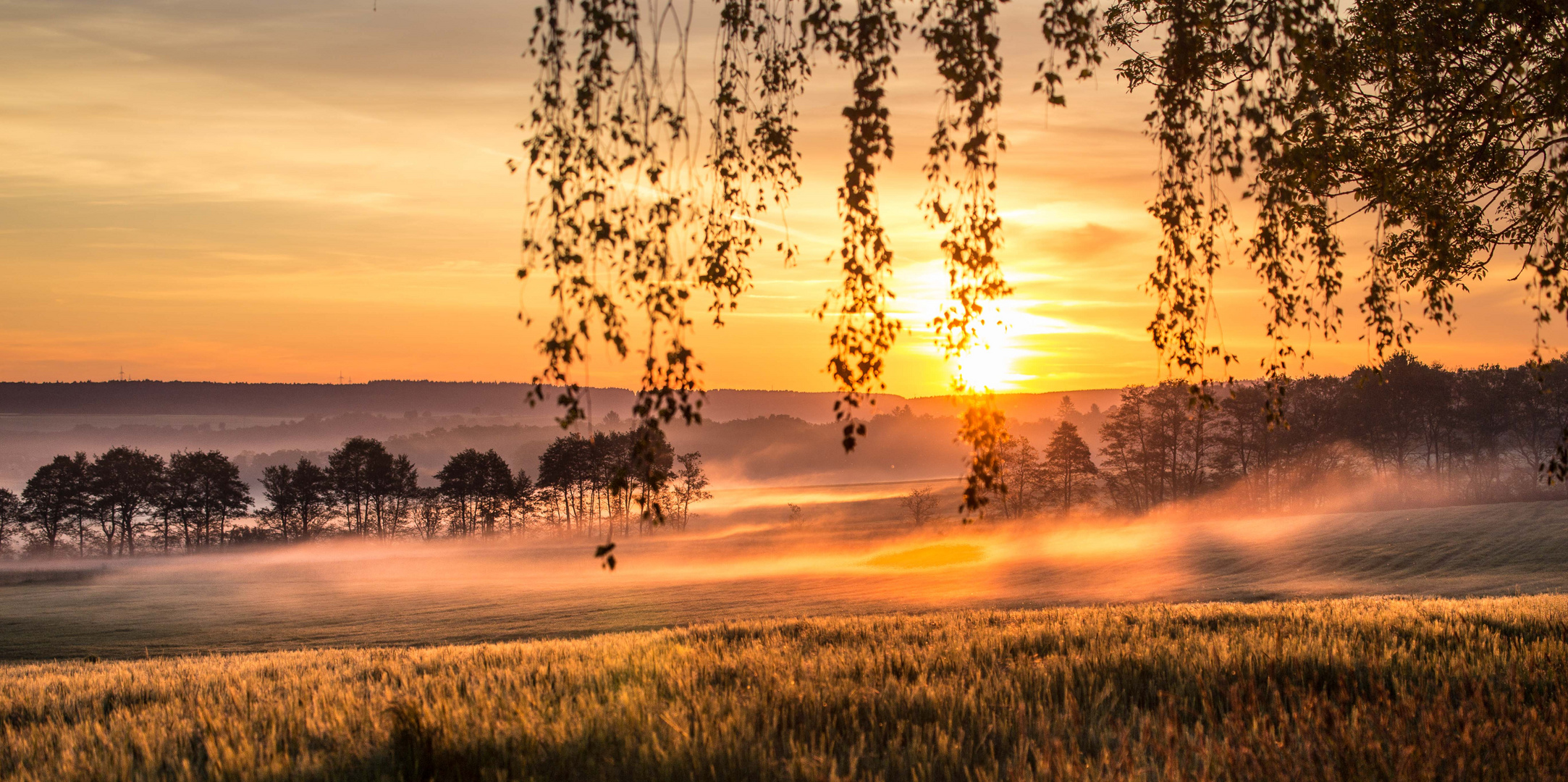 Early.morning. Foto & Bild | landschaft, Äcker, felder & wiesen, by.he ...