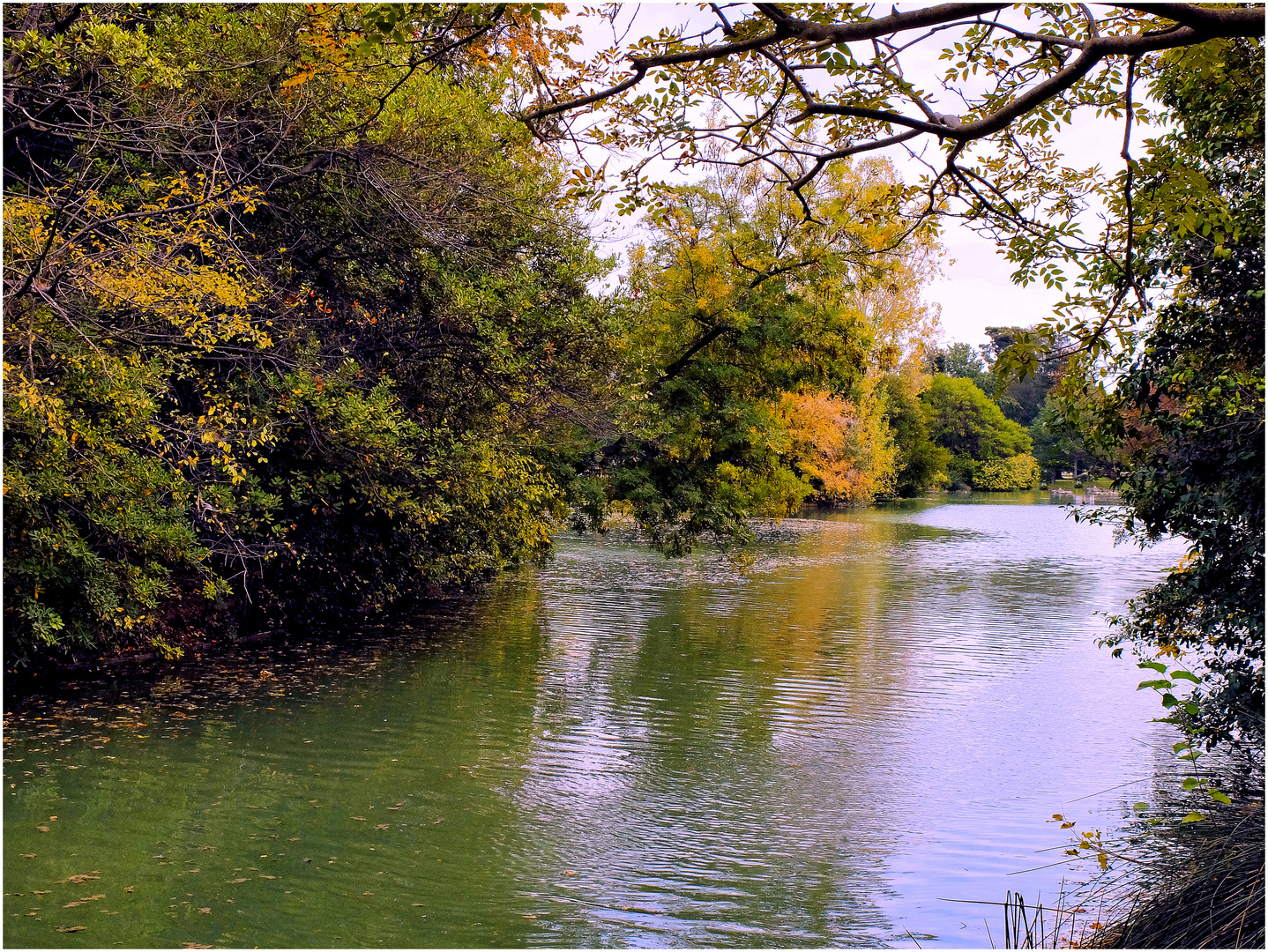 Eau douce photo et image | europe, france, provence-alpes-côte d'azur ...
