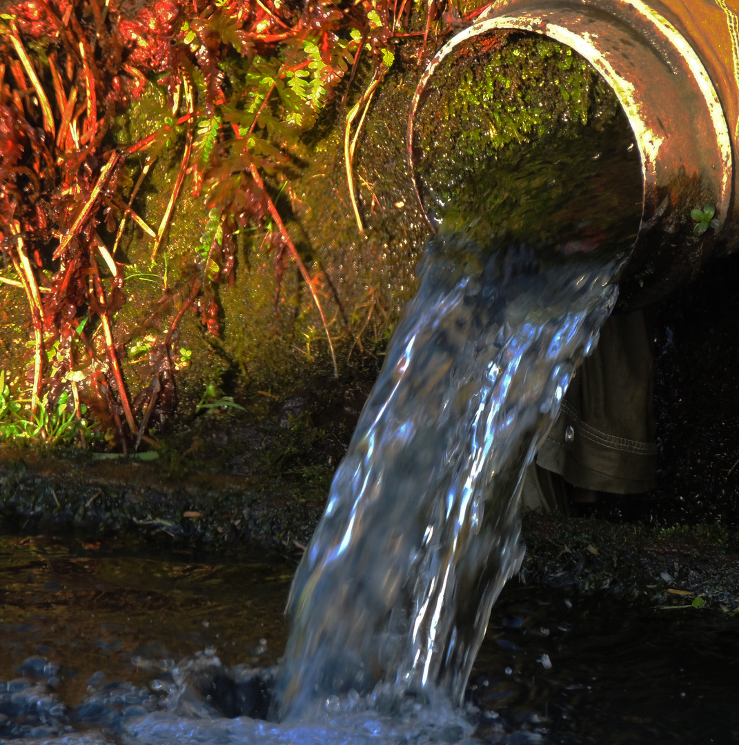 eau vive photo et image | l'eau, gouttes, tourbillons, eau, sujets ...