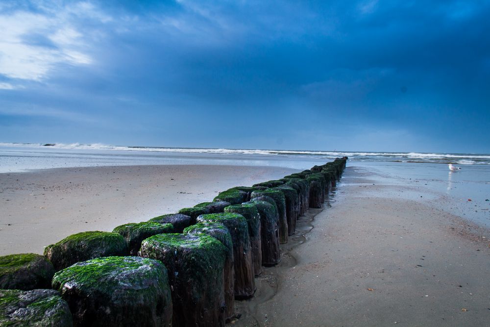 Ebbe Foto & Bild | landschaft, meer & strand, winter Bilder auf ...
